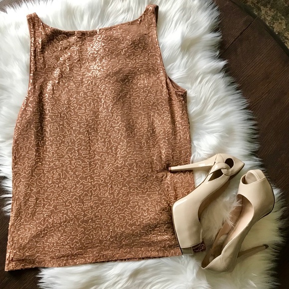 Talbots | Tops | Talbots Rose Gold Mini Sequin Tankshell Lined | Poshmark
